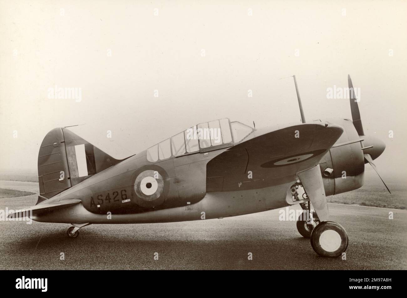 Brewster buffalo hi-res stock photography and images - Alamy