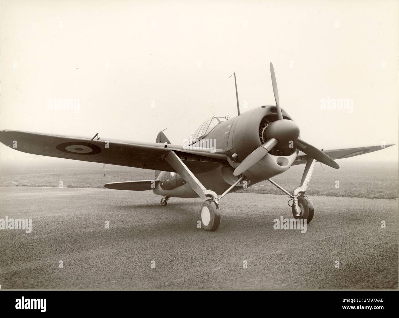 Brewster Buffalo I, AS426 Stock Photo - Alamy