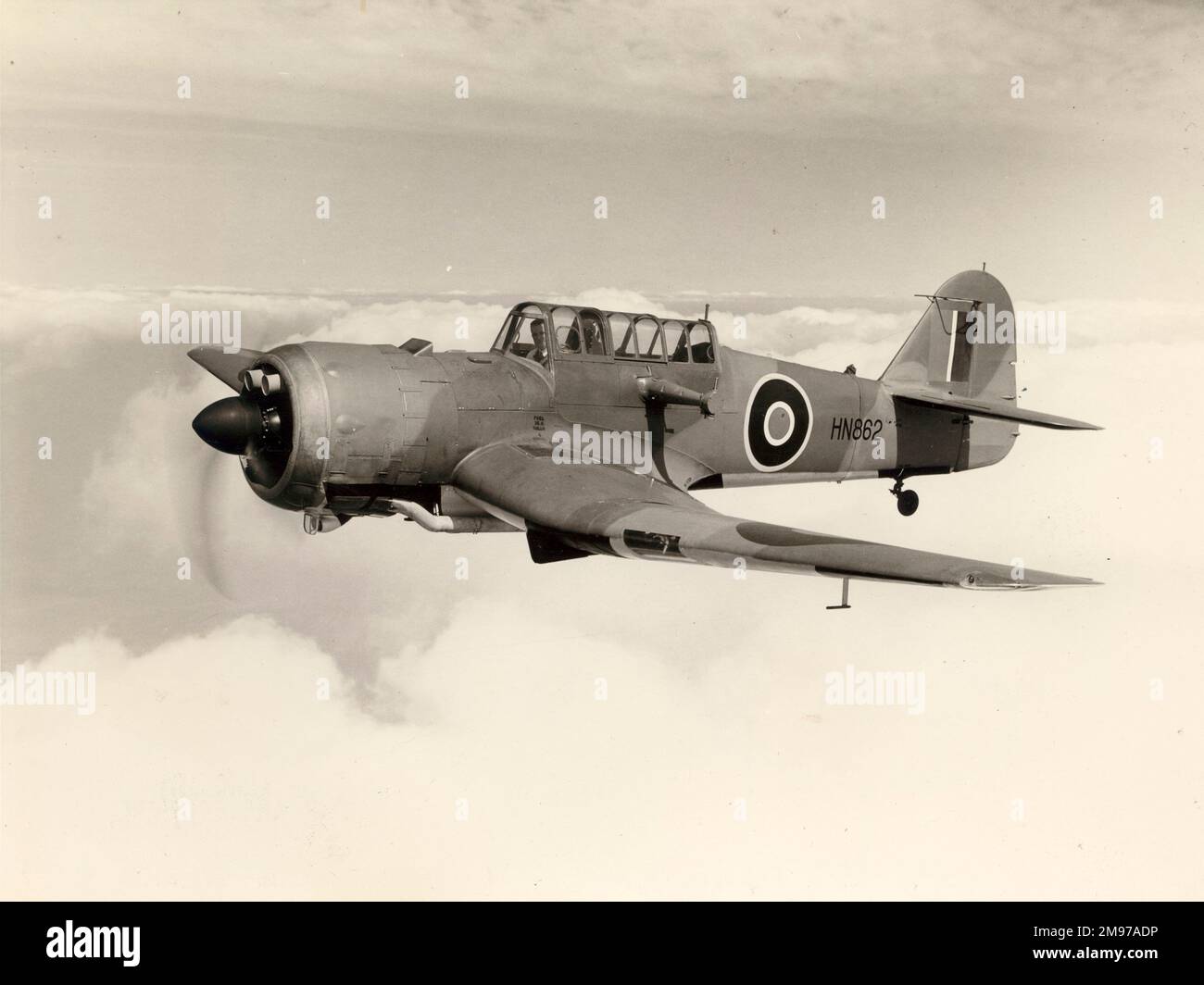 Martinet hi-res stock photography and images - Alamy