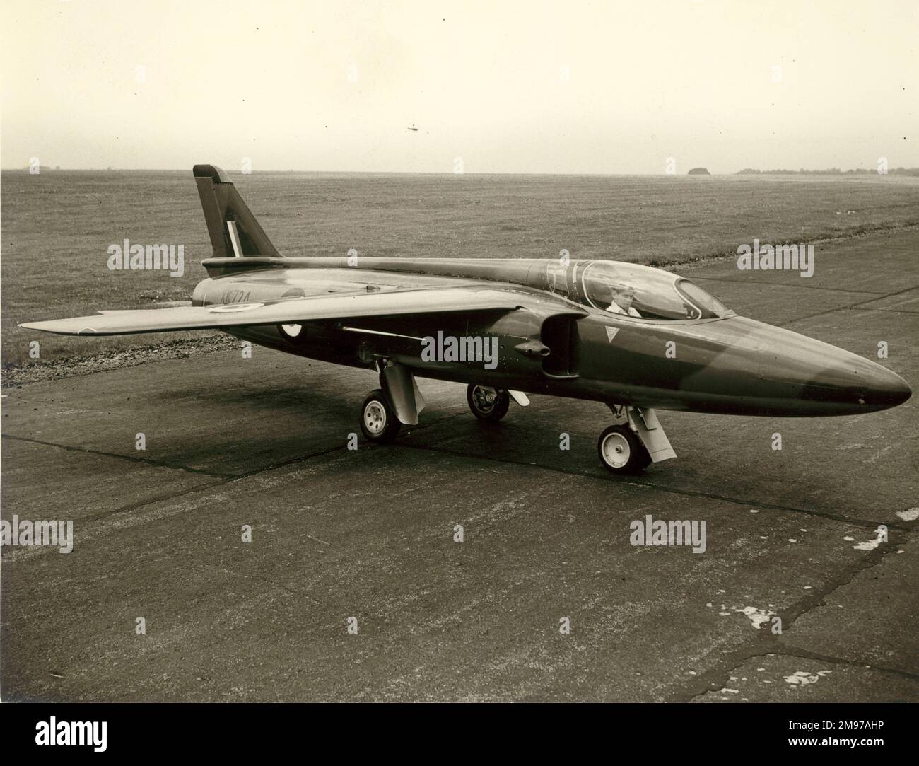 F1 gnat hi-res stock photography and images - Alamy