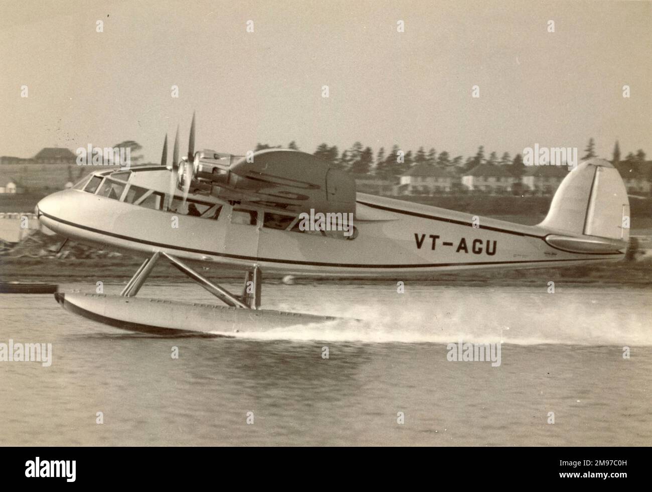 Short scion senior hi-res stock photography and images - Alamy