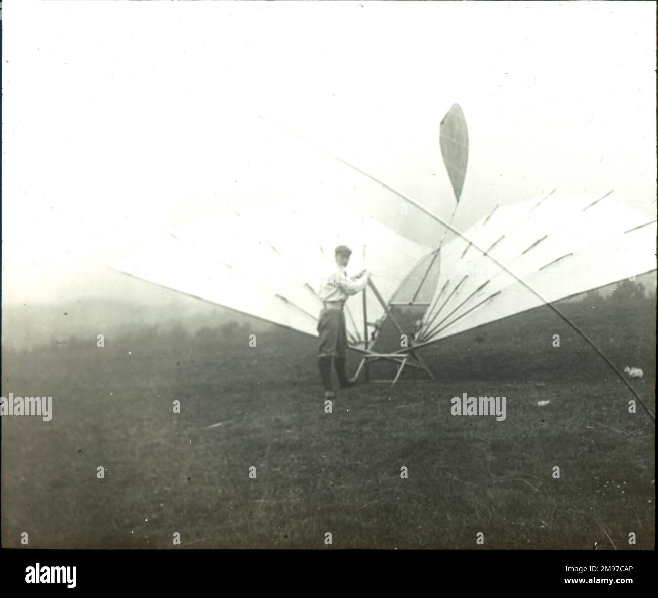 Bat plane hi-res stock photography and images - Alamy