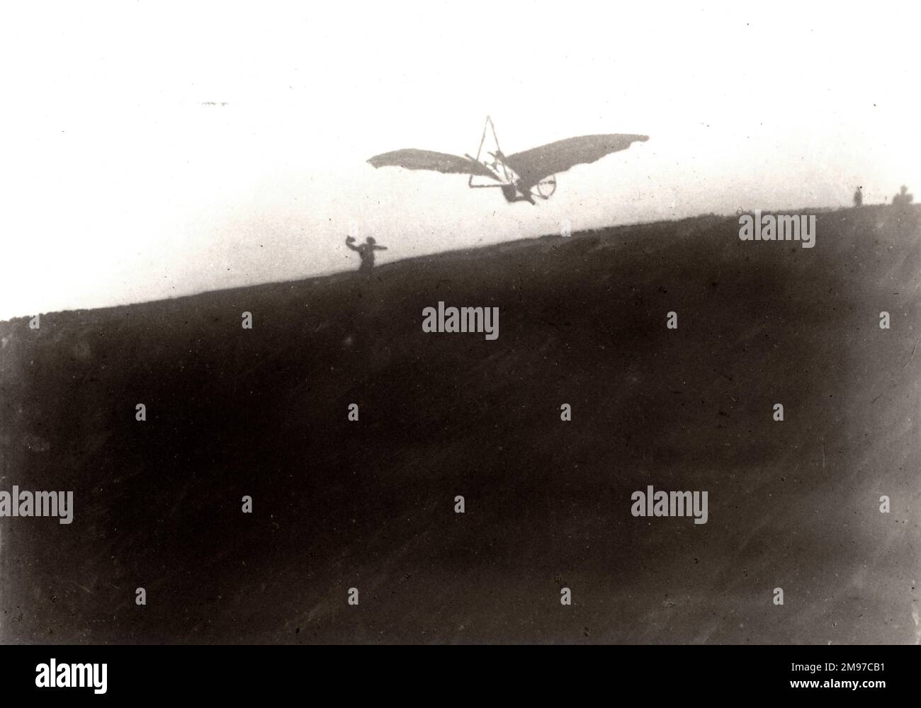 In bat hi-res stock photography and images - Alamy