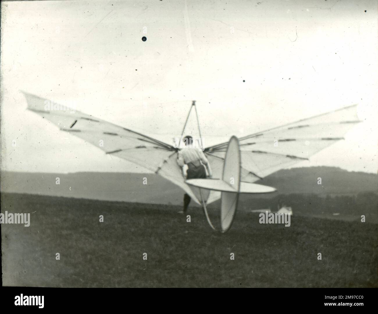 Bat plane hi-res stock photography and images - Alamy