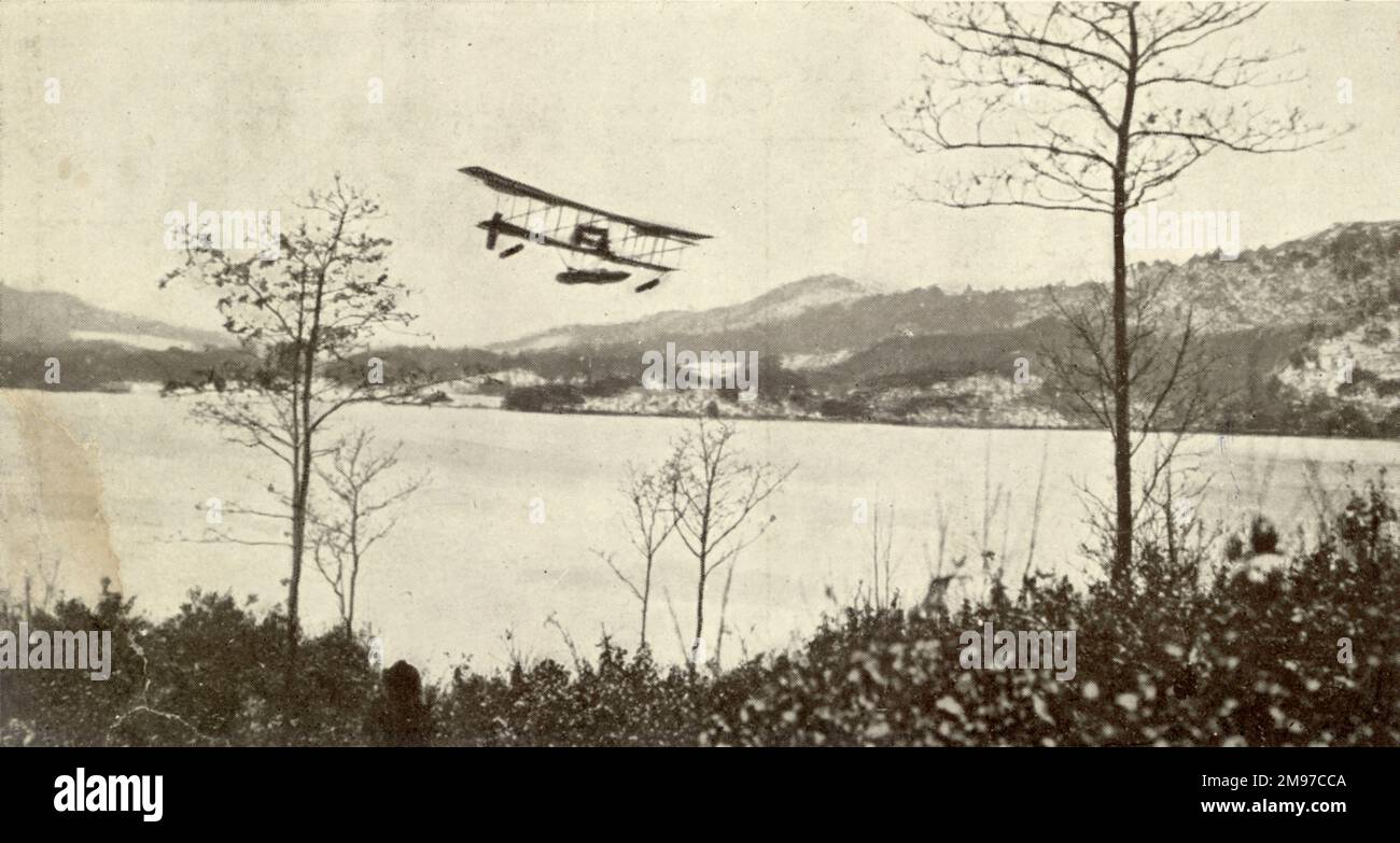 Waterbird windermere hi-res stock photography and images - Alamy