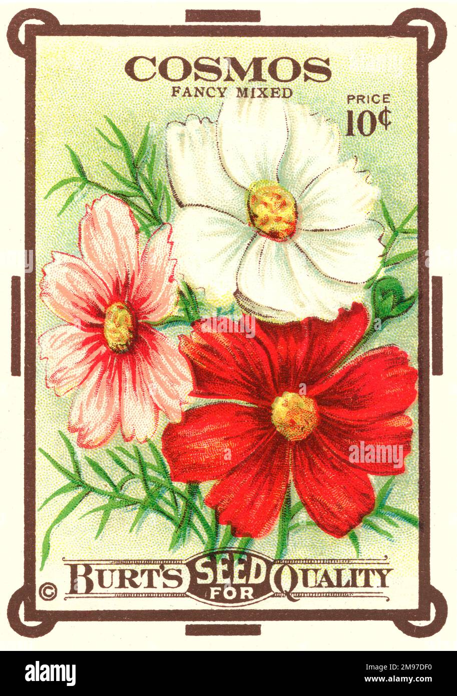 A beautiful Cosmos seed packet from the Burt’s Seeds Company, New York ...