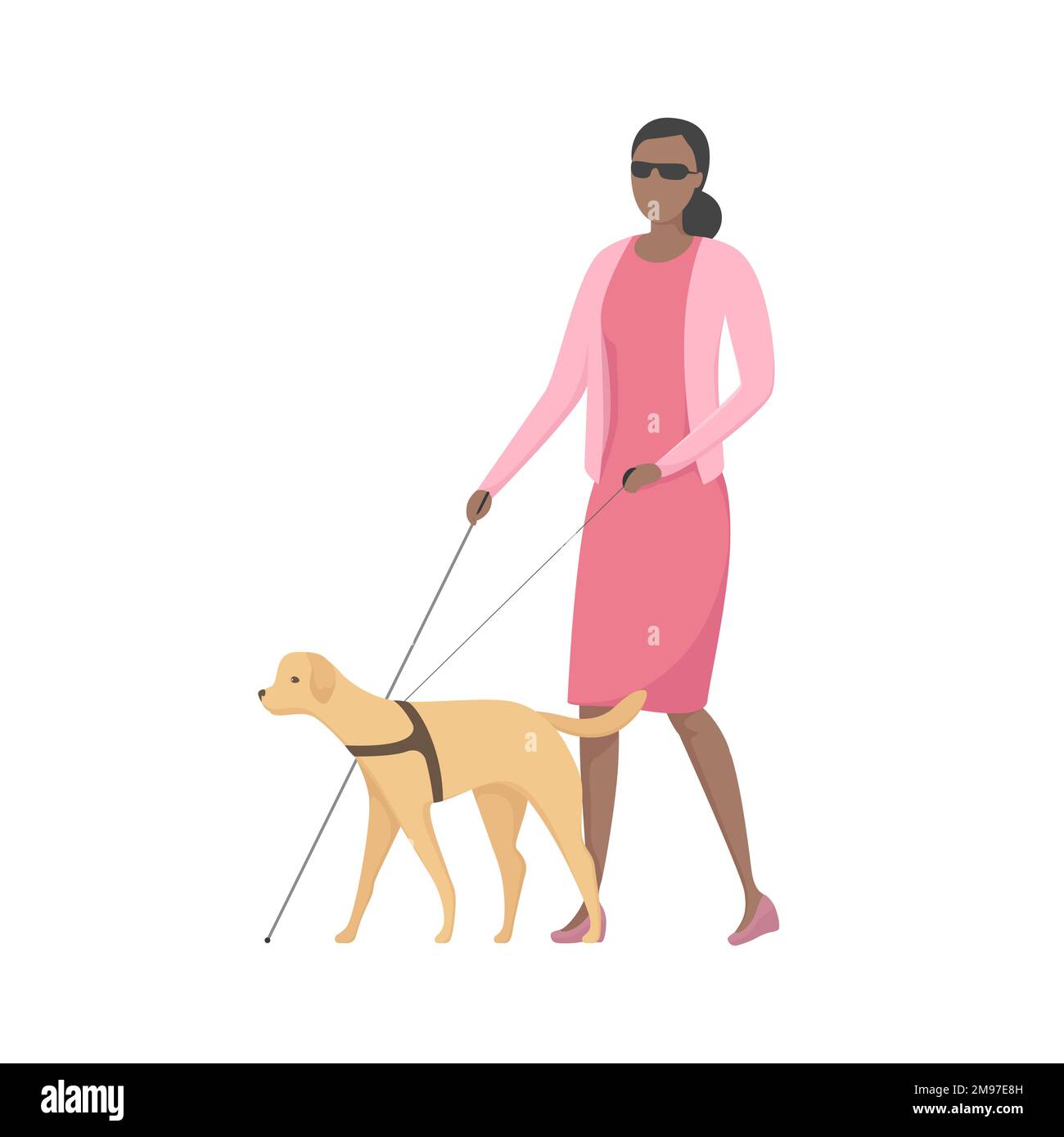 Woman with blindness walking with seeing eye dog. Vector illustration ...