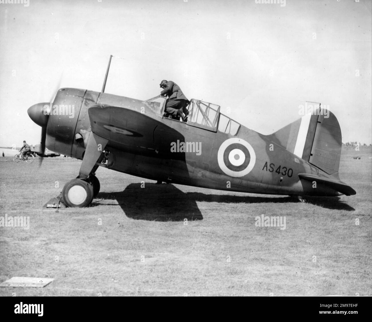 Buffalo Top Dressing Bunnings at Kim Jean blog