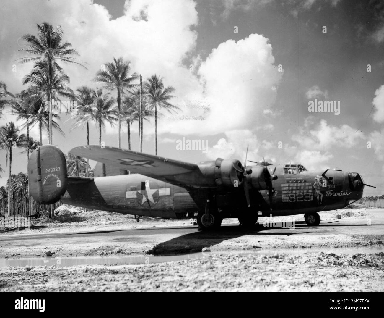 Consolidated B-24D Liberator -shown amid Pacific palms Here the ...