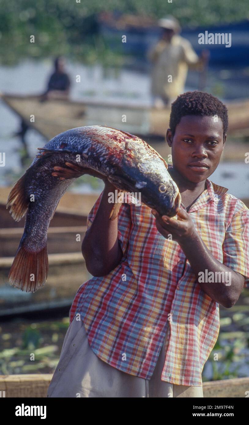 Uganda, Fishery at Lake Victoria. Water hyacinth is a plant that ...