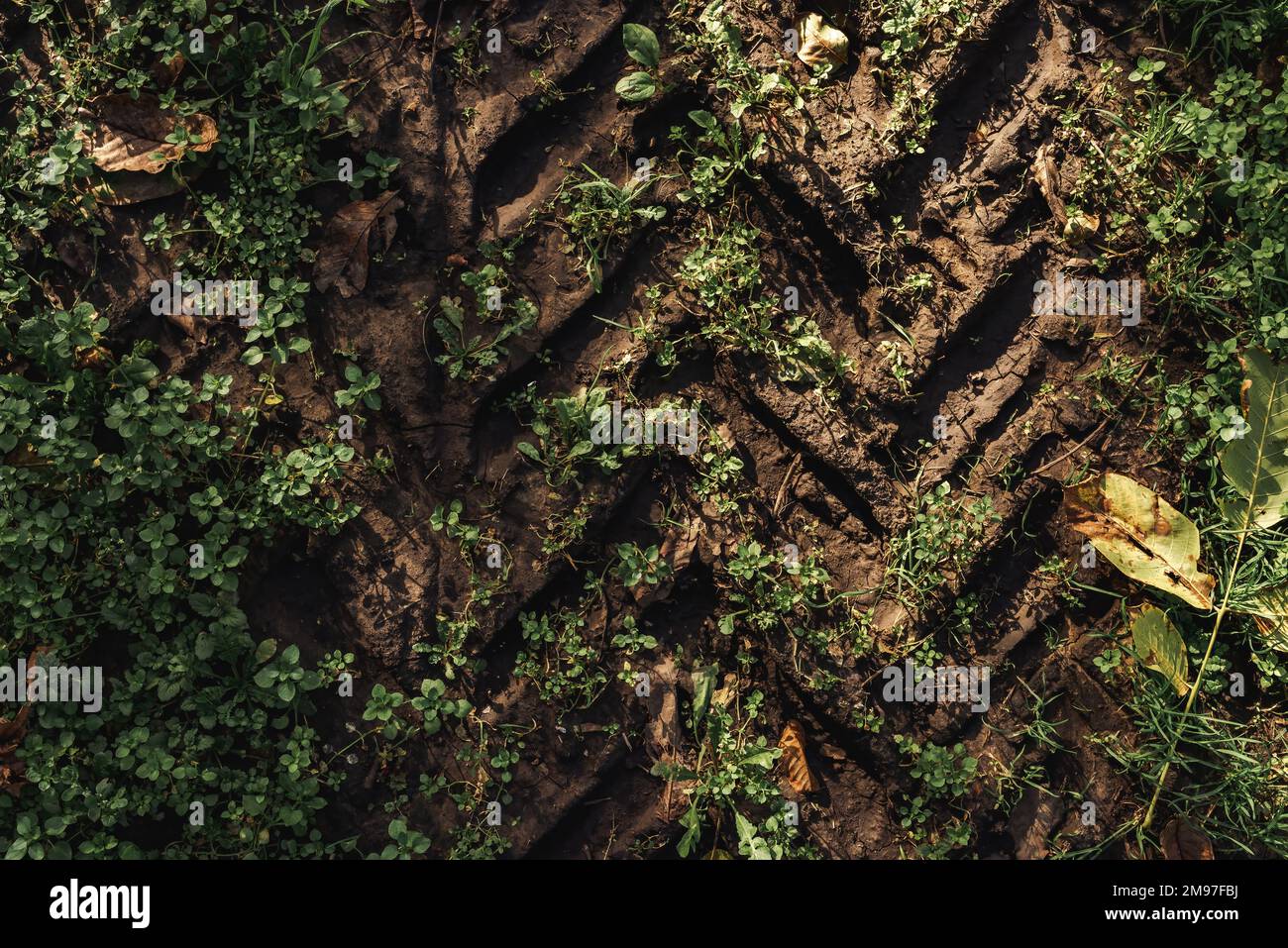 Agricultural tractor tire tracks in dirt road ground, top view Stock ...