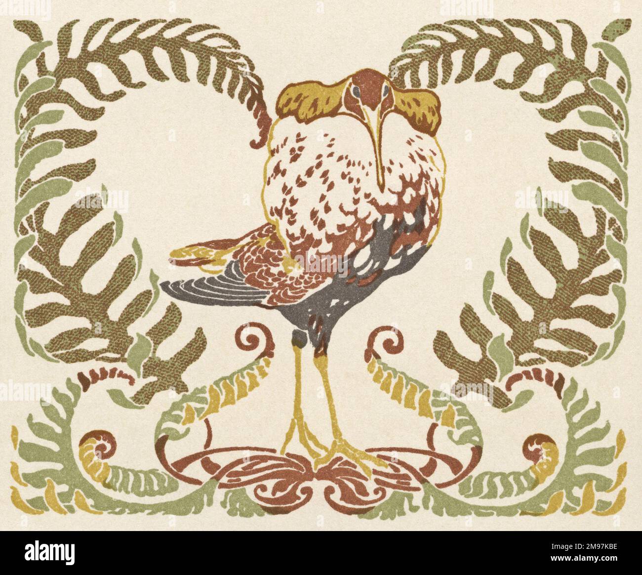 A bird in a clump of ferns Stock Photo - Alamy