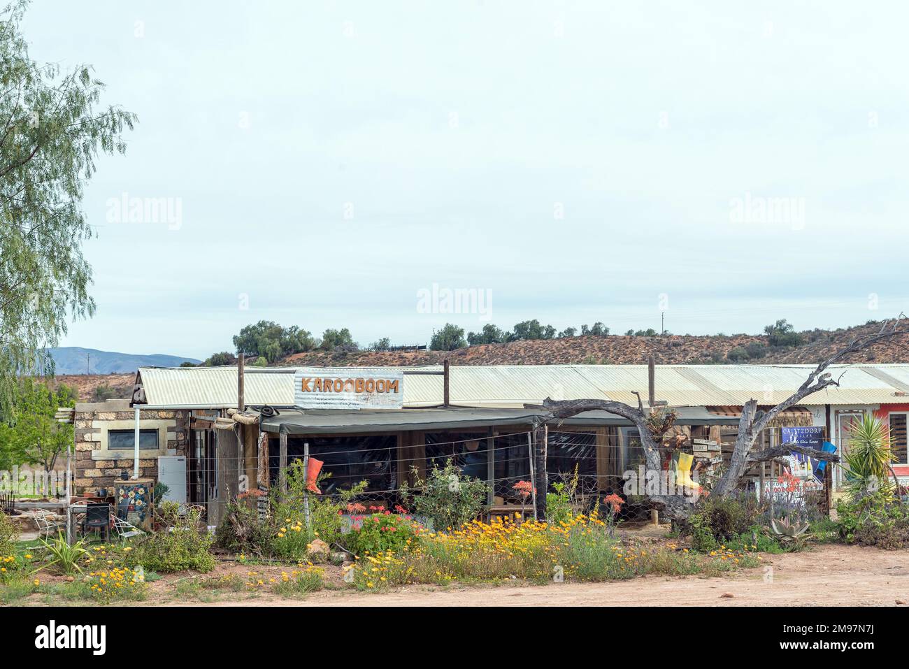 Karooboom braai restaurant and shop hi-res stock photography and images ...