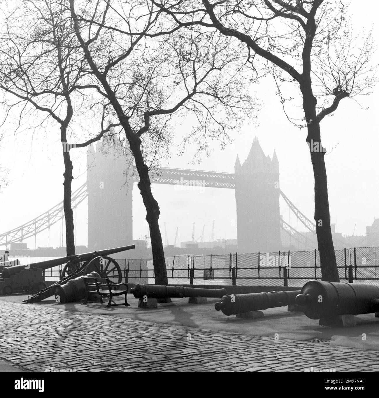 Morning photo of Tower Bridge taken from Tower Gardens Stock Photo - Alamy