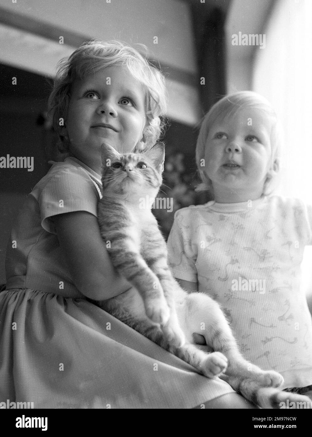 Two pet hi-res stock photography and images - Alamy