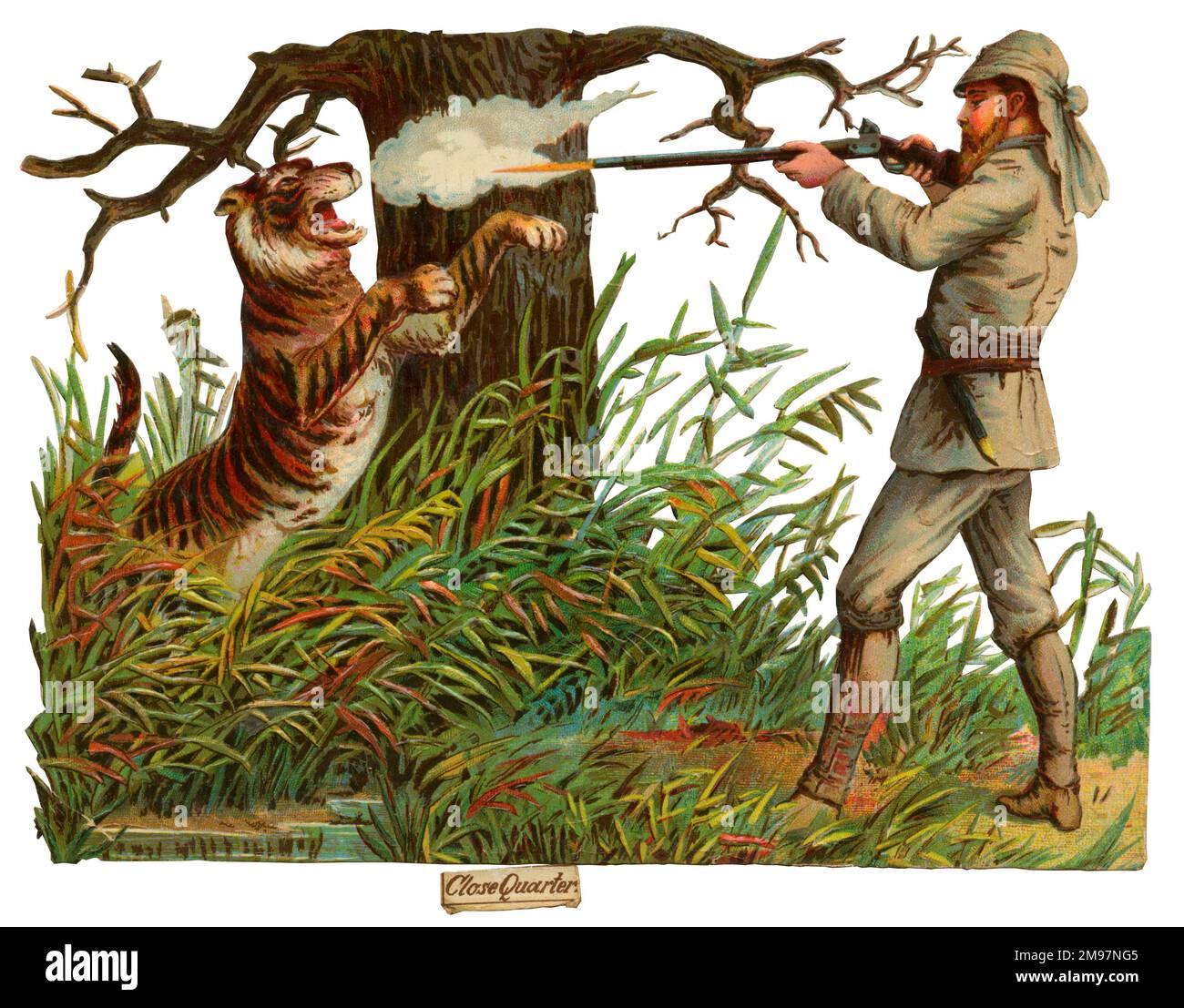 Tiger hunter victorian hi-res stock photography and images - Alamy