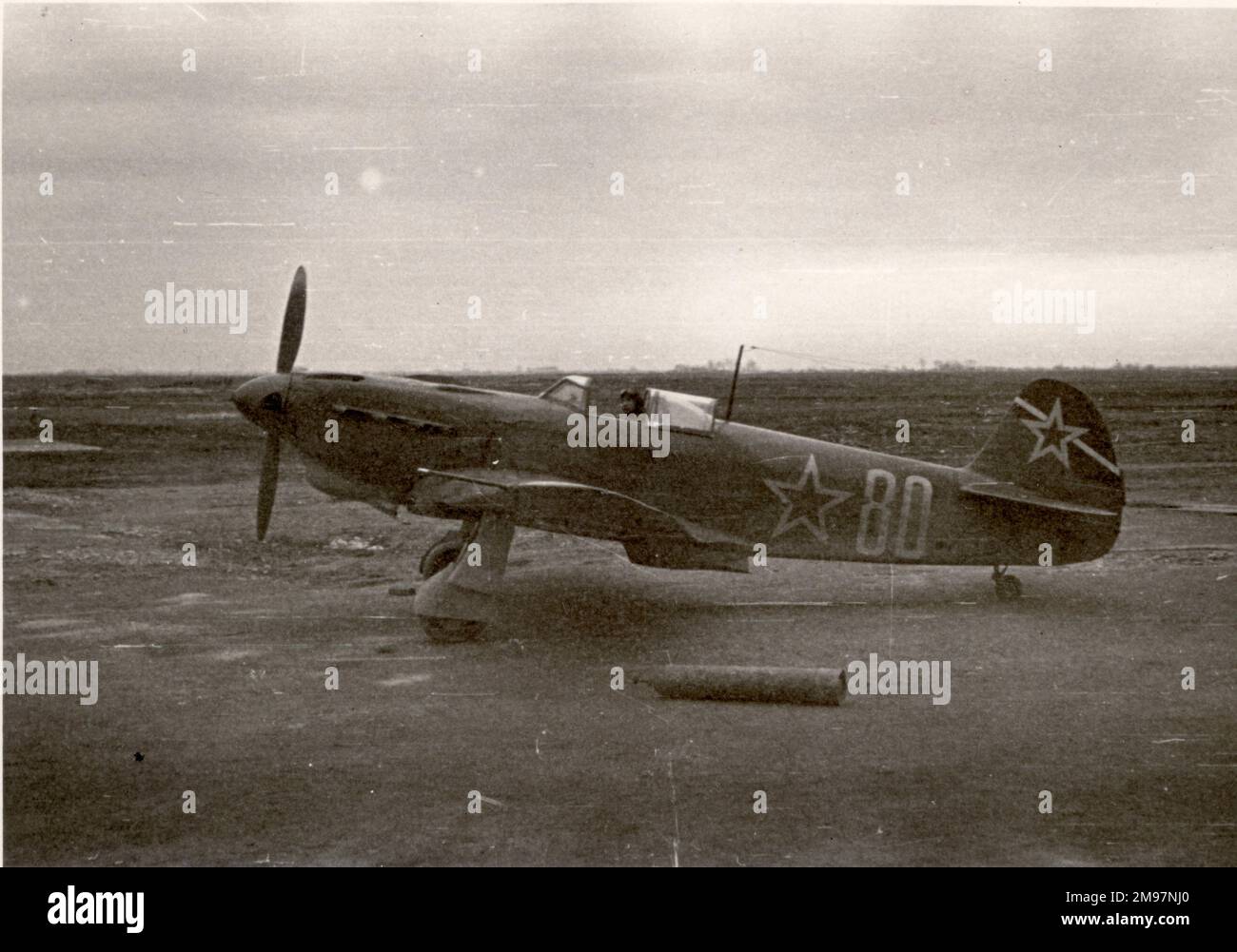 Yak 3 hi-res stock photography and images - Alamy