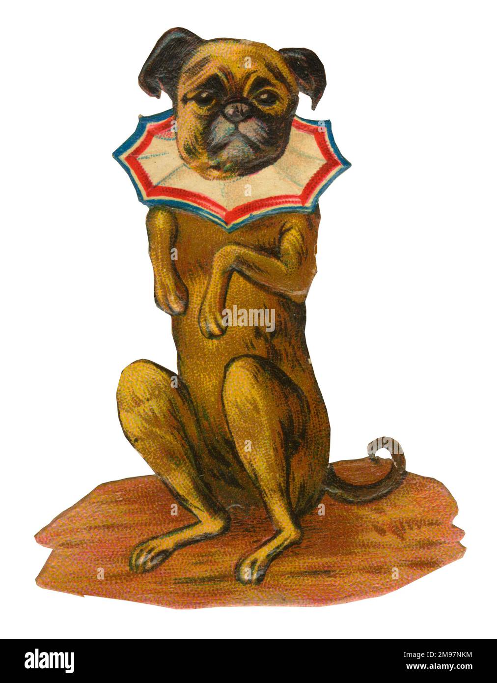 Victorian Scrap, performing dog Stock Photo - Alamy