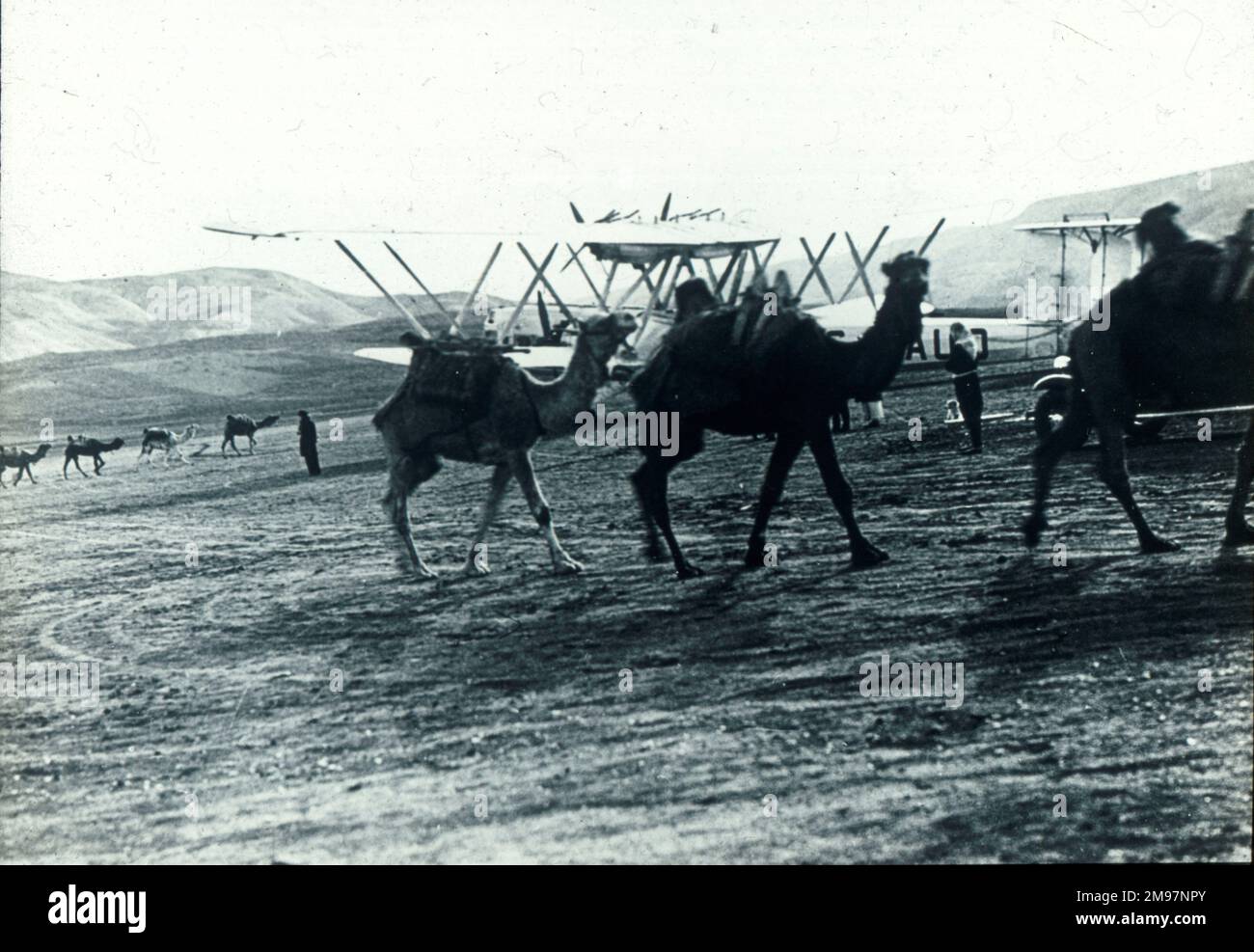 Aaud hi-res stock photography and images - Alamy