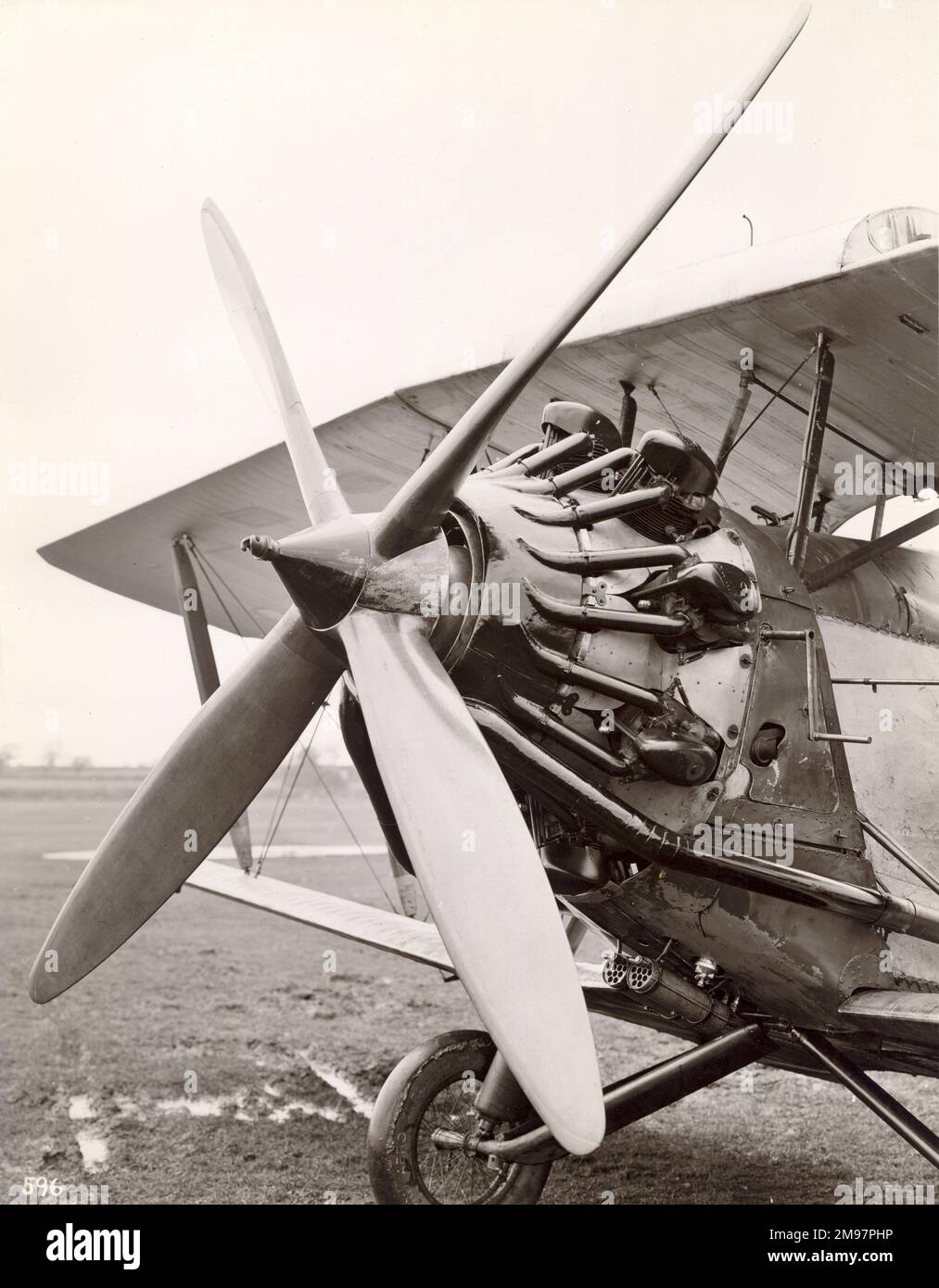 Bristol bloodhound hi-res stock photography and images - Alamy
