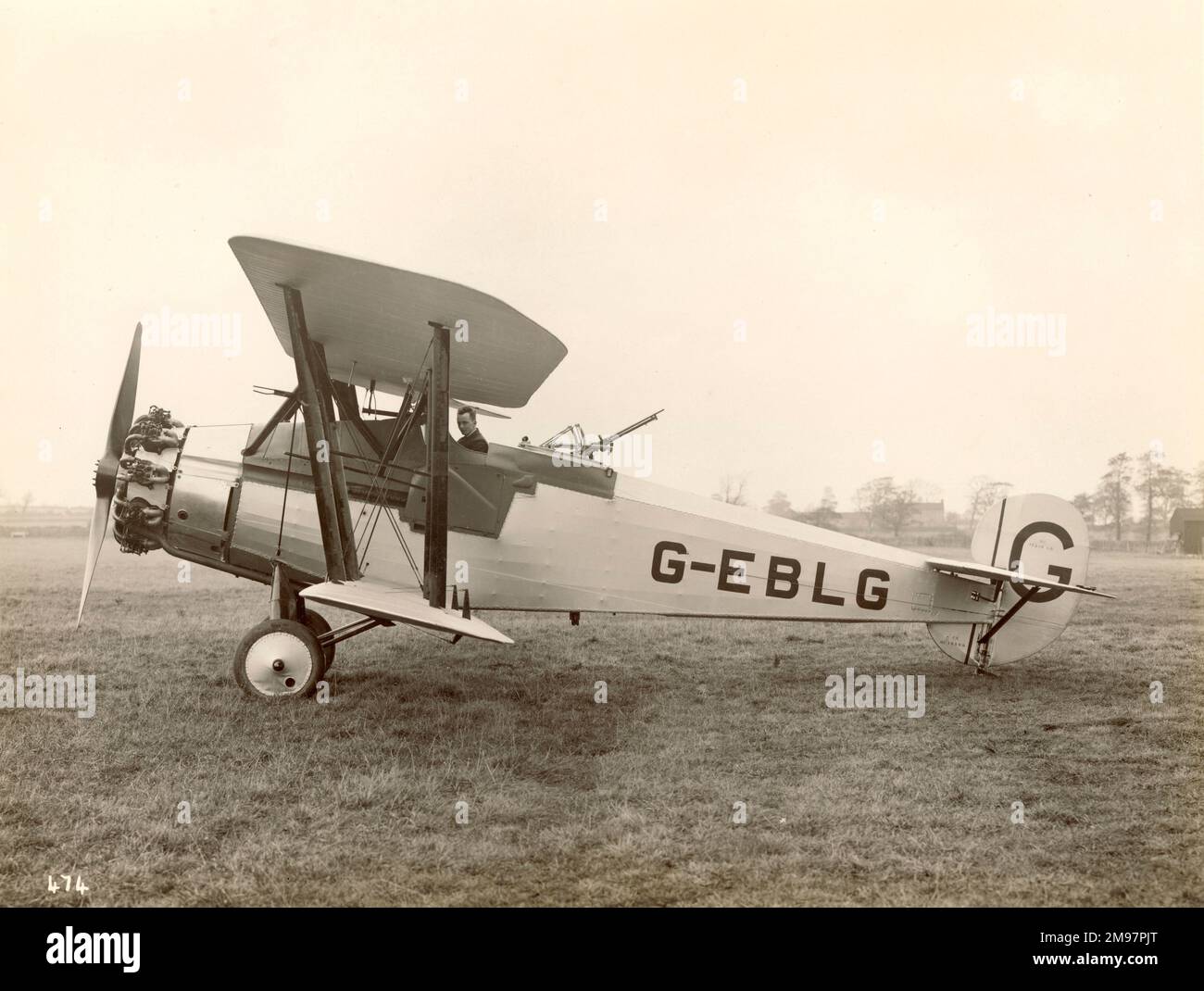 Boarhound hi-res stock photography and images - Alamy