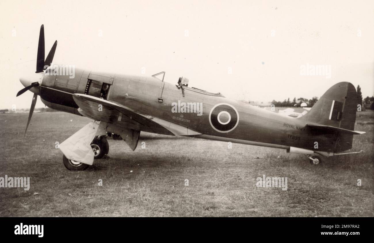 An early production Hawker Sea Fury X, TF895 Stock Photo - Alamy
