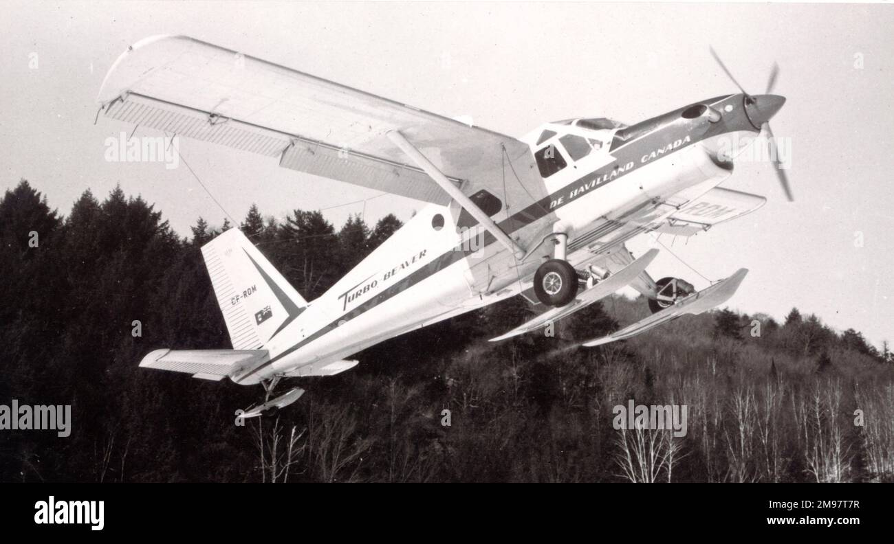 de Havilland Canada DHC2 Turbo-Beaver III, CF-ROM Stock Photo - Alamy