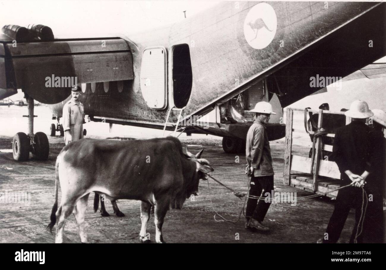 De havilland of canada caribou hi-res stock photography and images - Alamy