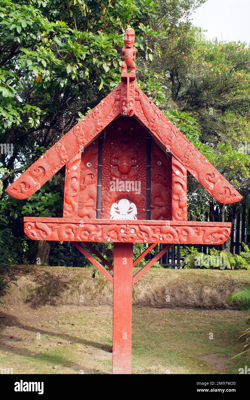 Maori food culture hi-res stock photography and images - Alamy
