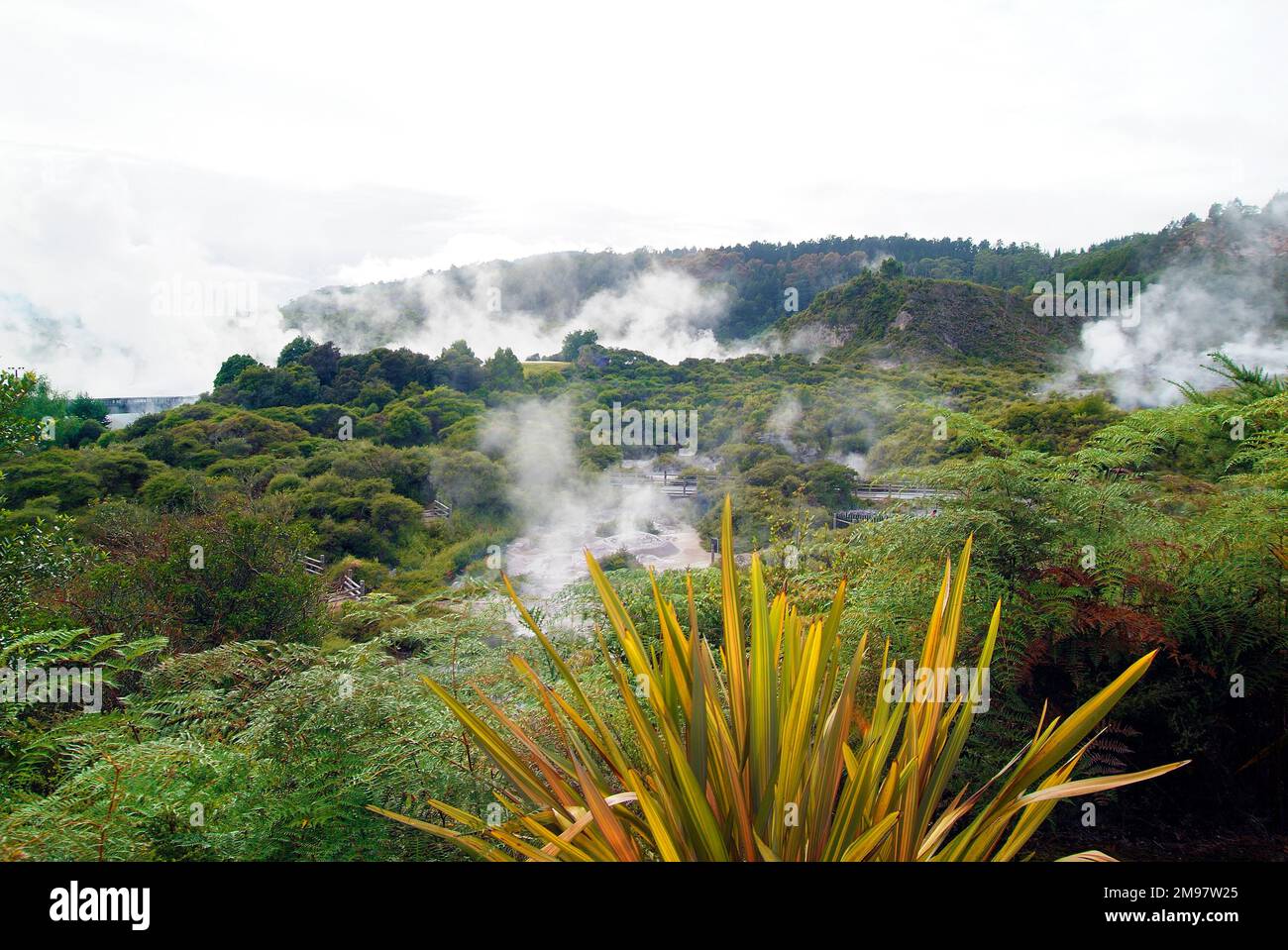 Whakarewarewa is a geothermal area with hot pools, boiling mud and ...
