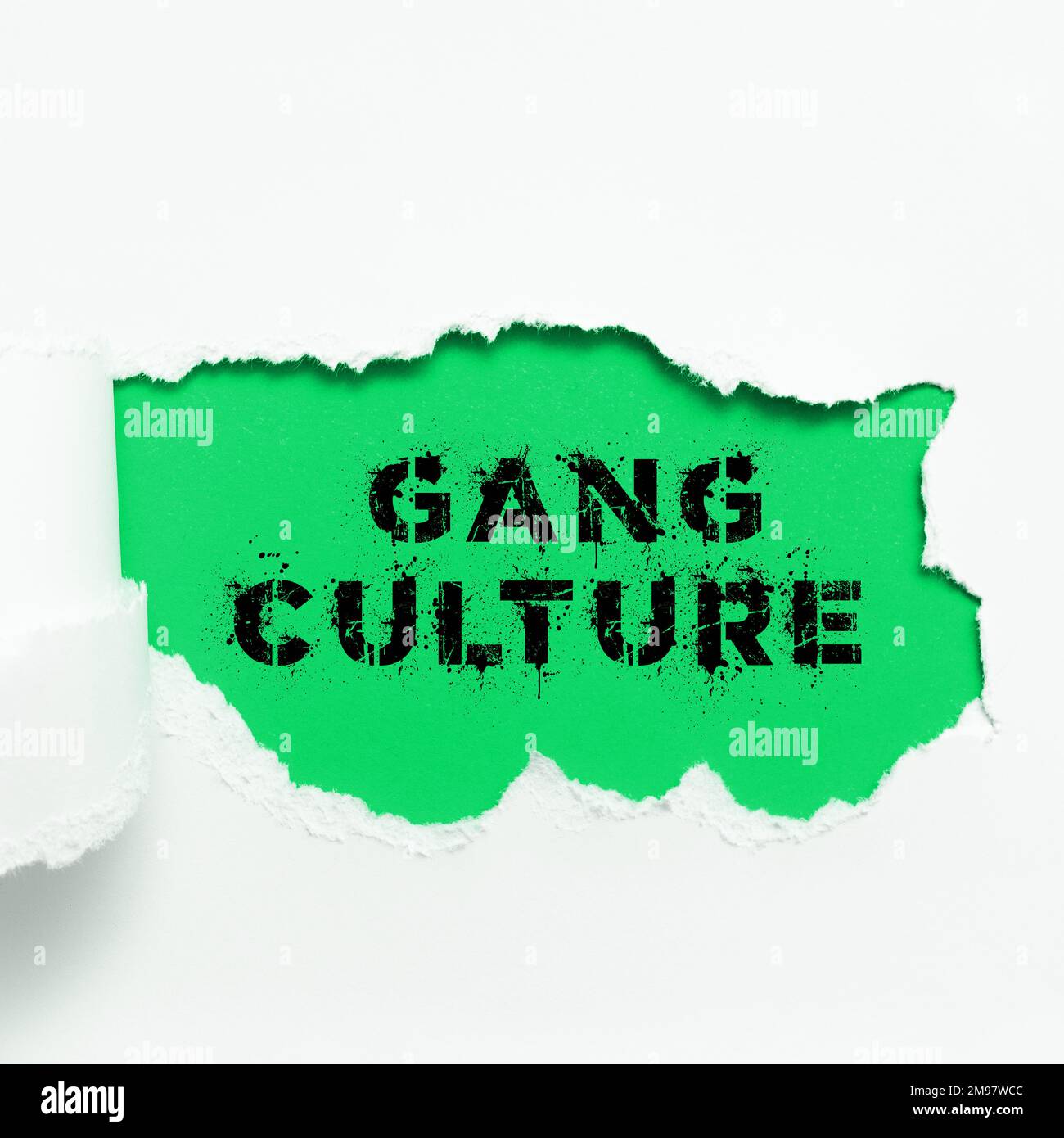 Text showing inspiration Gang Culture. Word for particular organization ... Text showing inspiration Gang Culture. Word for particular organization ...