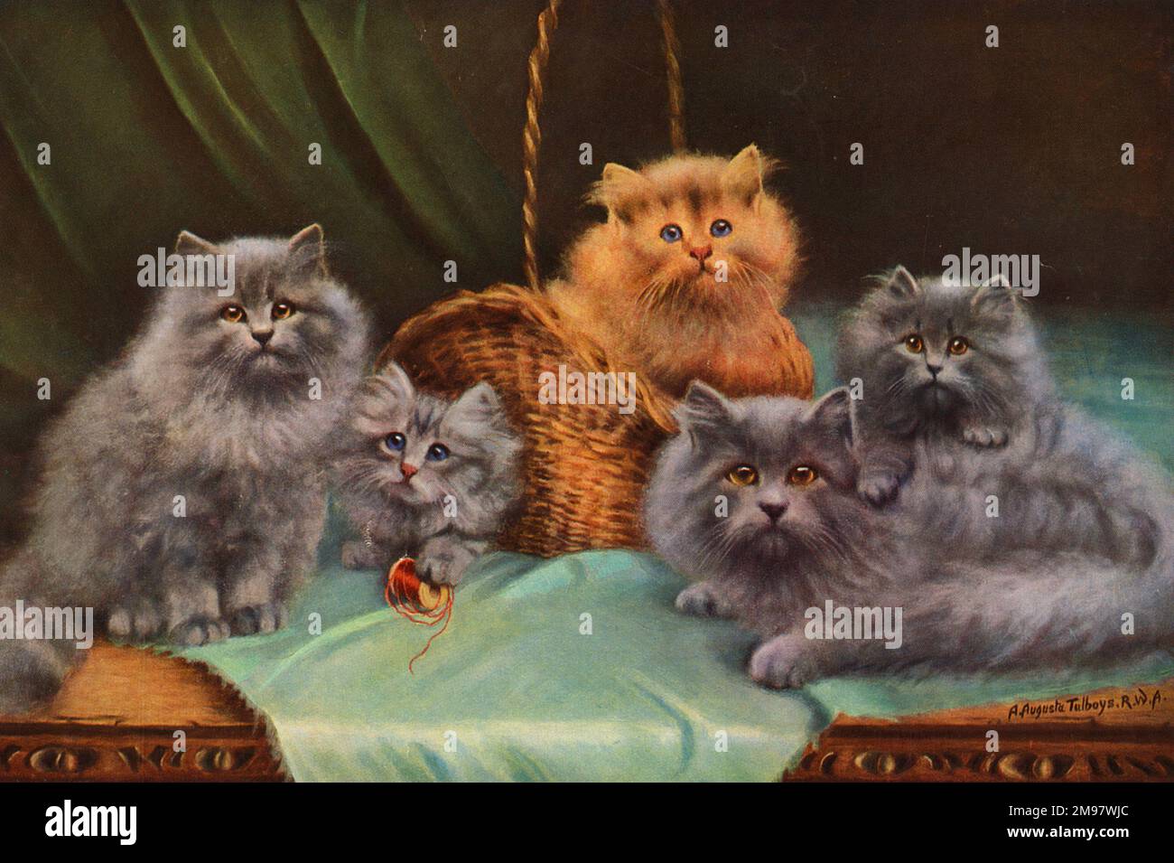 Historical kittens hi-res stock photography and images - Alamy