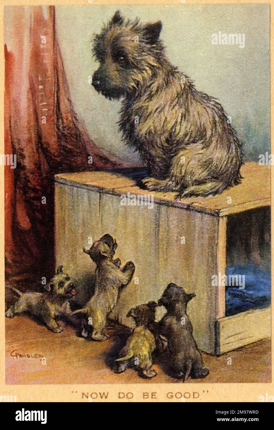 Dog and Puppies - Now Do Be Good Stock Photo - Alamy