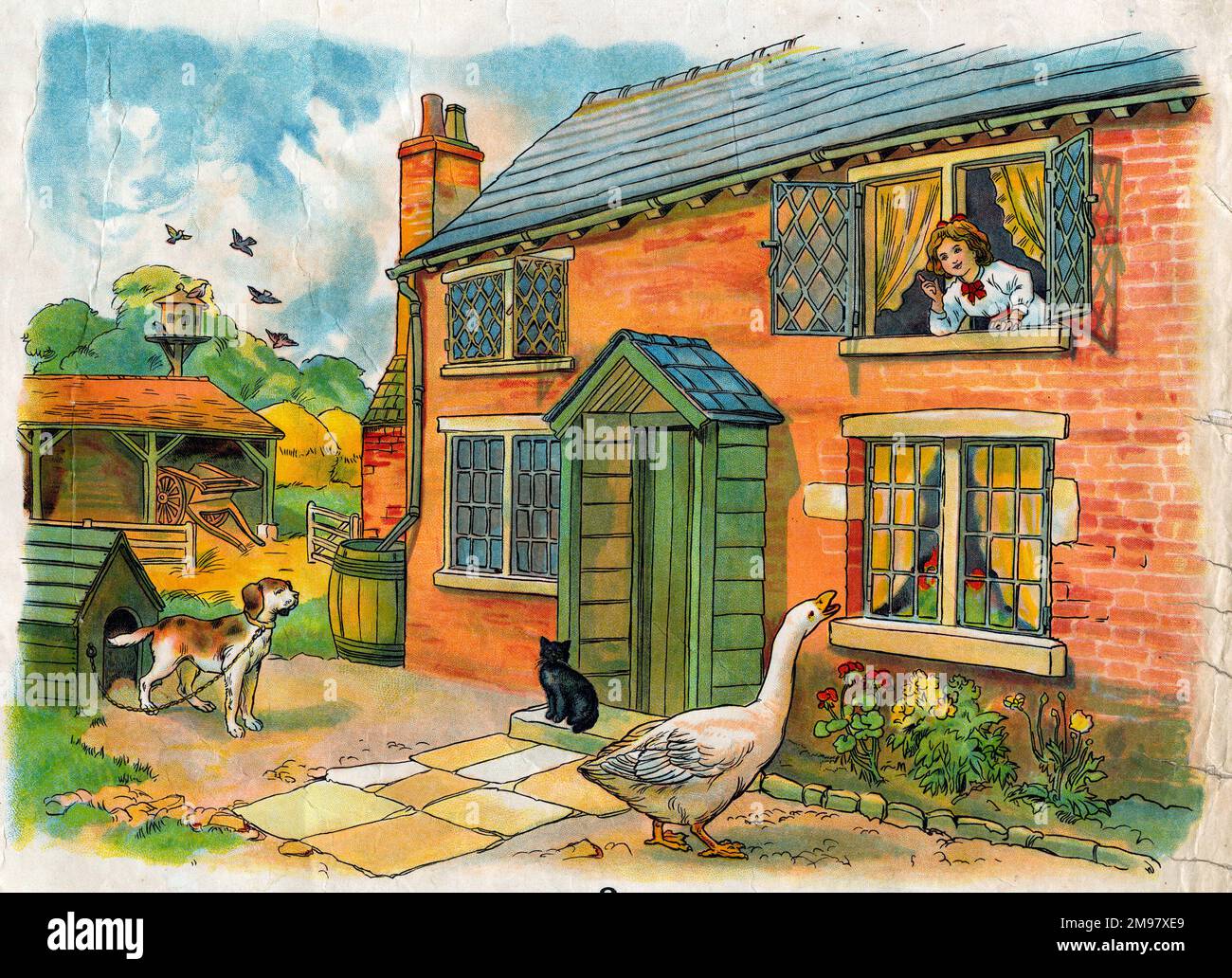 Goosey hi-res stock photography and images - Alamy