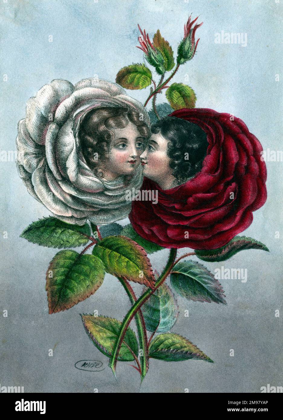 Rose Girls -- a white rose and a red rose with young women's faces ...