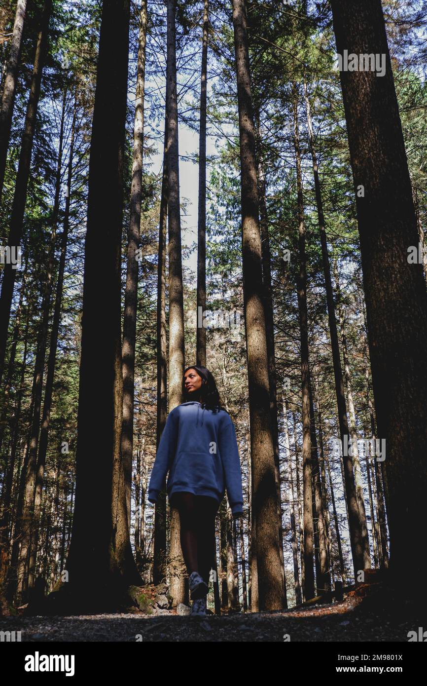 A beautiful view of a female walking through long trees in the forest ...
