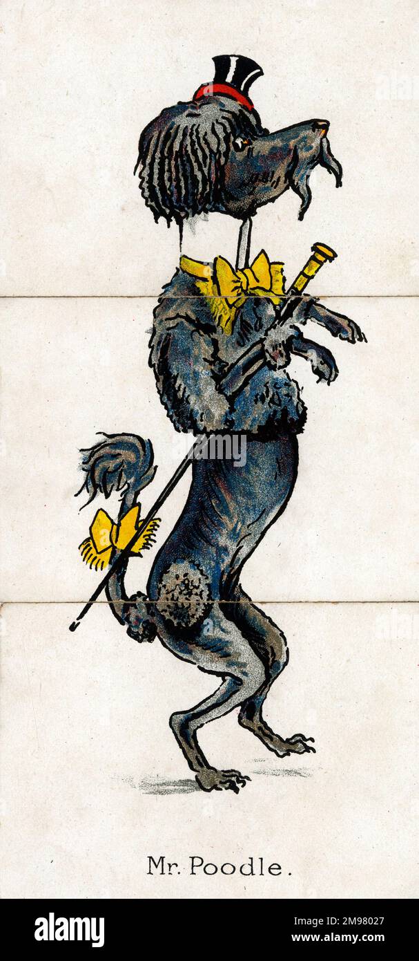 Zoological Misfitz - Mr Poodle Stock Photo - Alamy