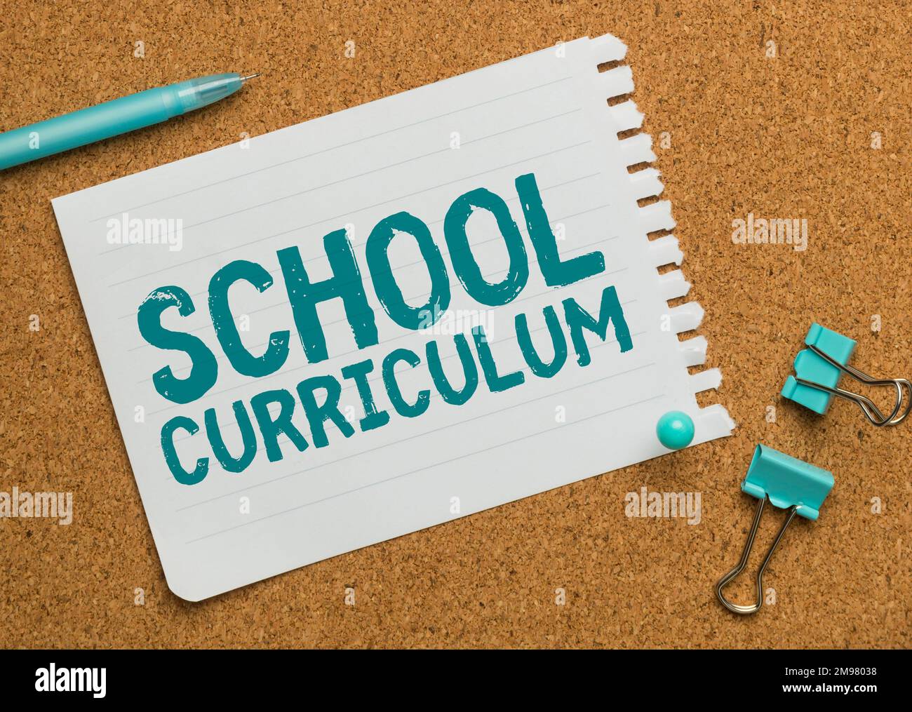 Text showing inspiration School Curriculum. Business showcase designed ...