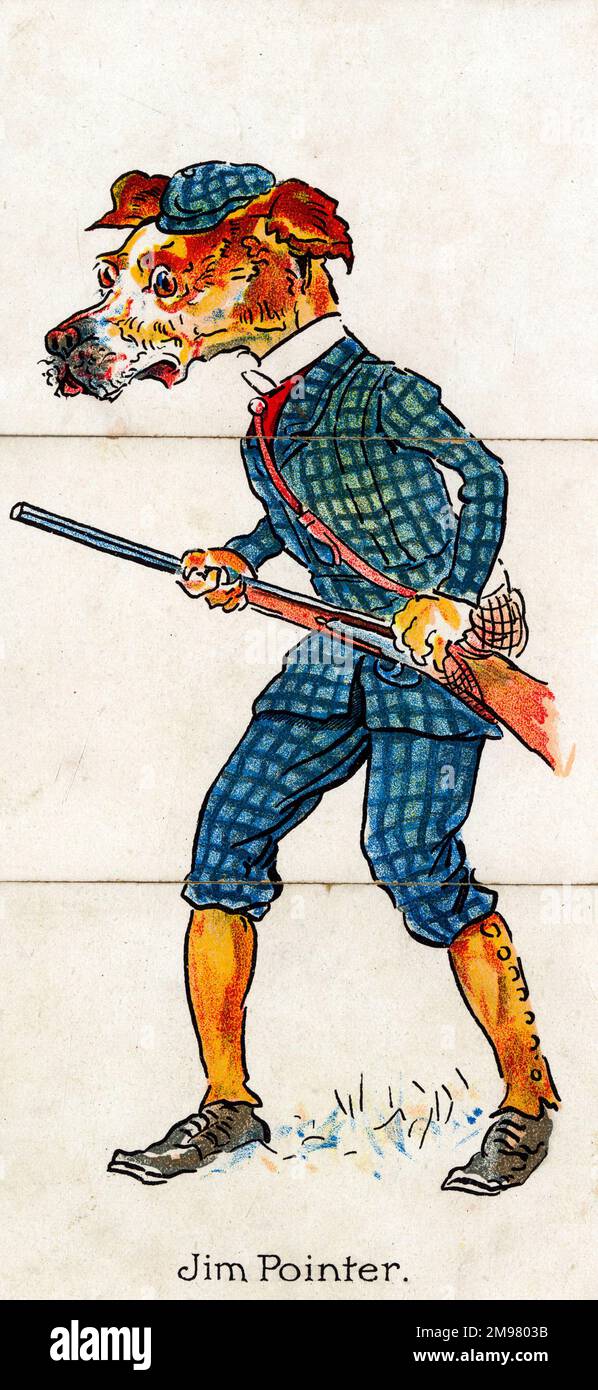 Zoological history hi-res stock photography and images - Alamy