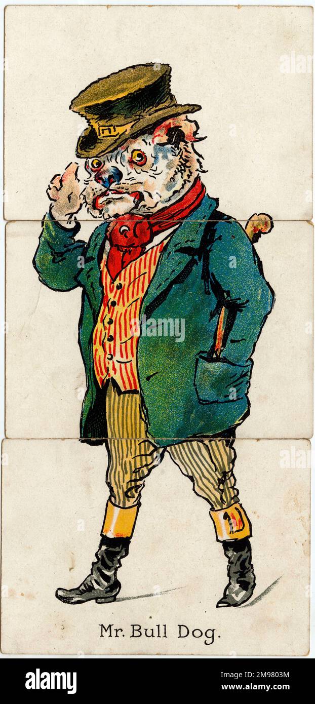 Mr bull hi-res stock photography and images - Alamy