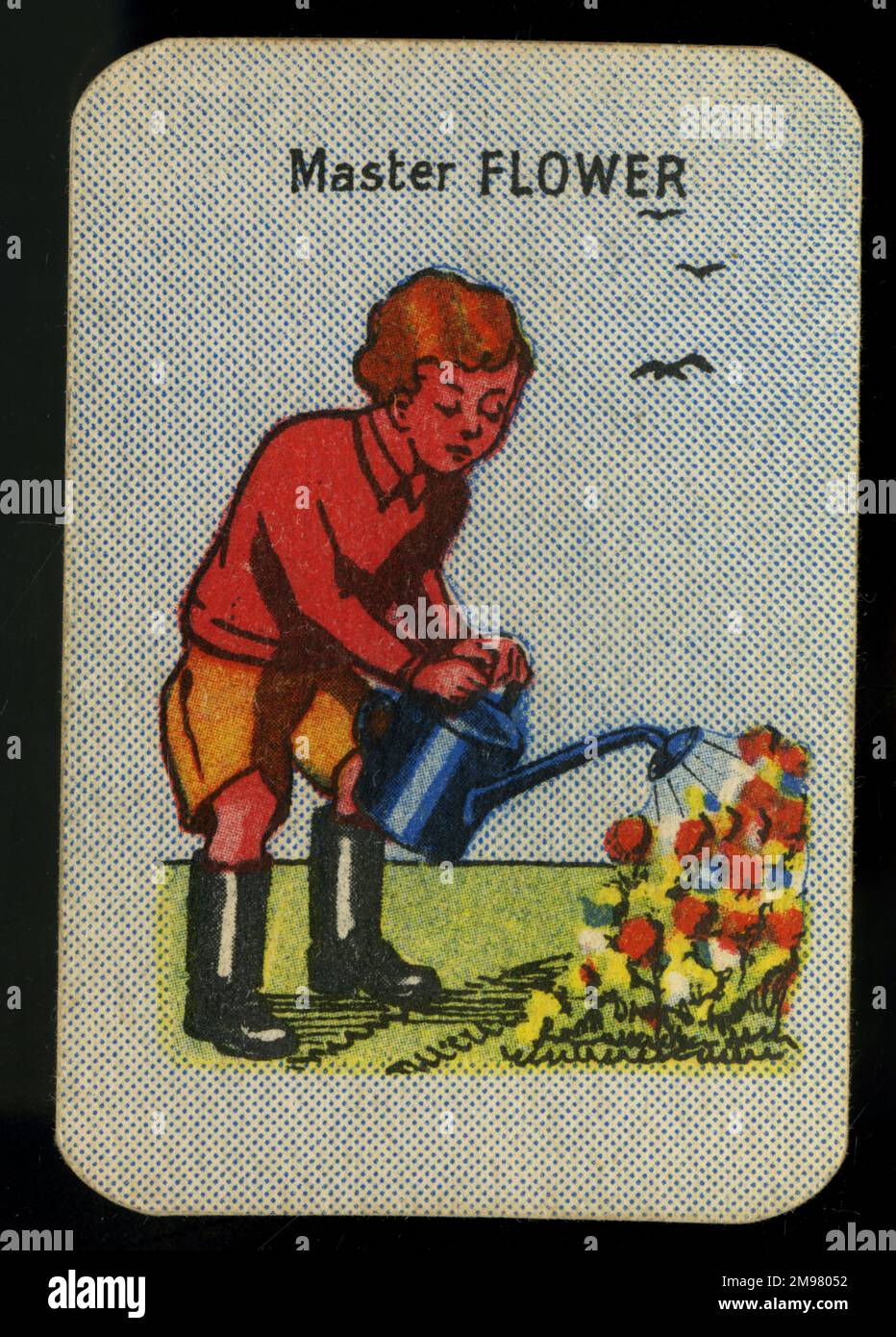 Happy Families - Master Flower Stock Photo - Alamy