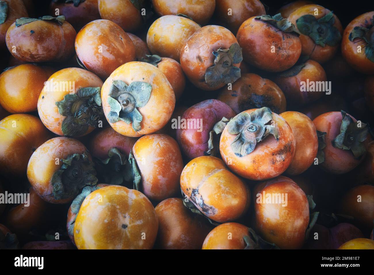 Abundance of persimmons hi-res stock photography and images - Alamy
