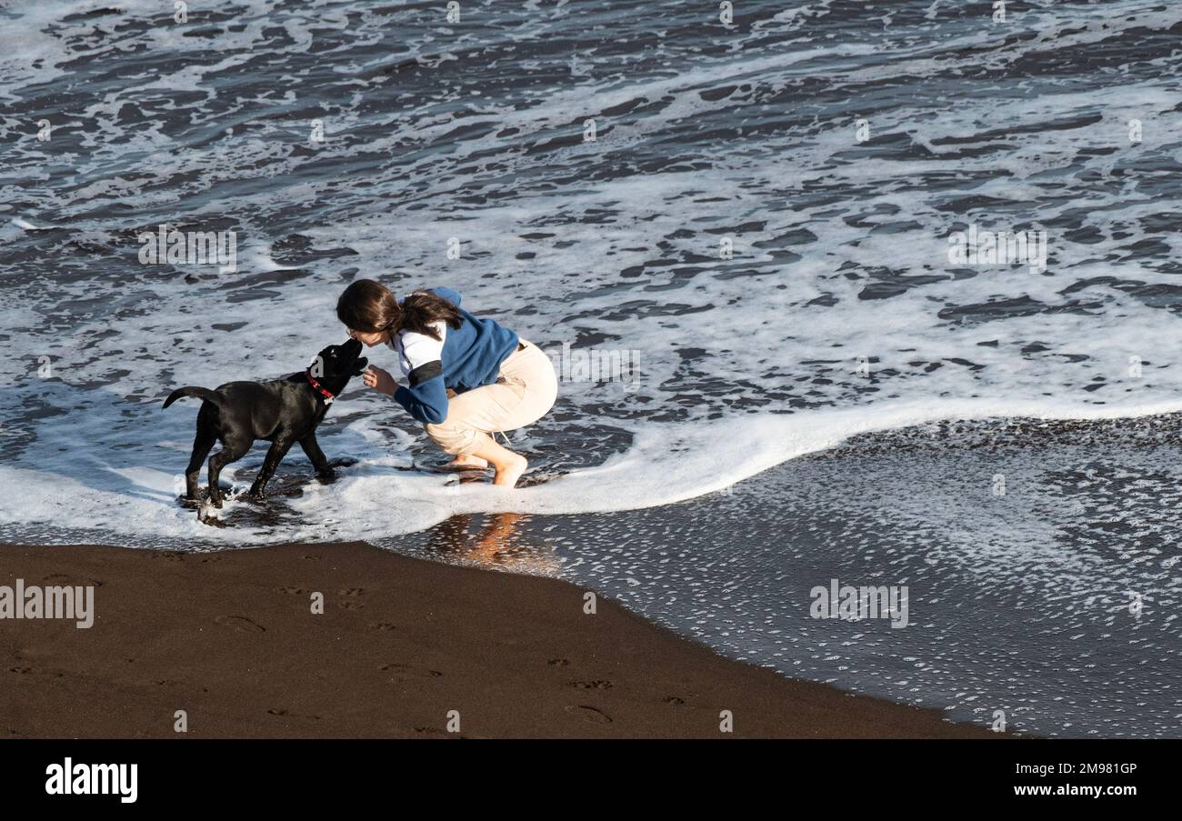 Young woman crouching in shallow ocean surf stroking a dog, Spain Stock ...