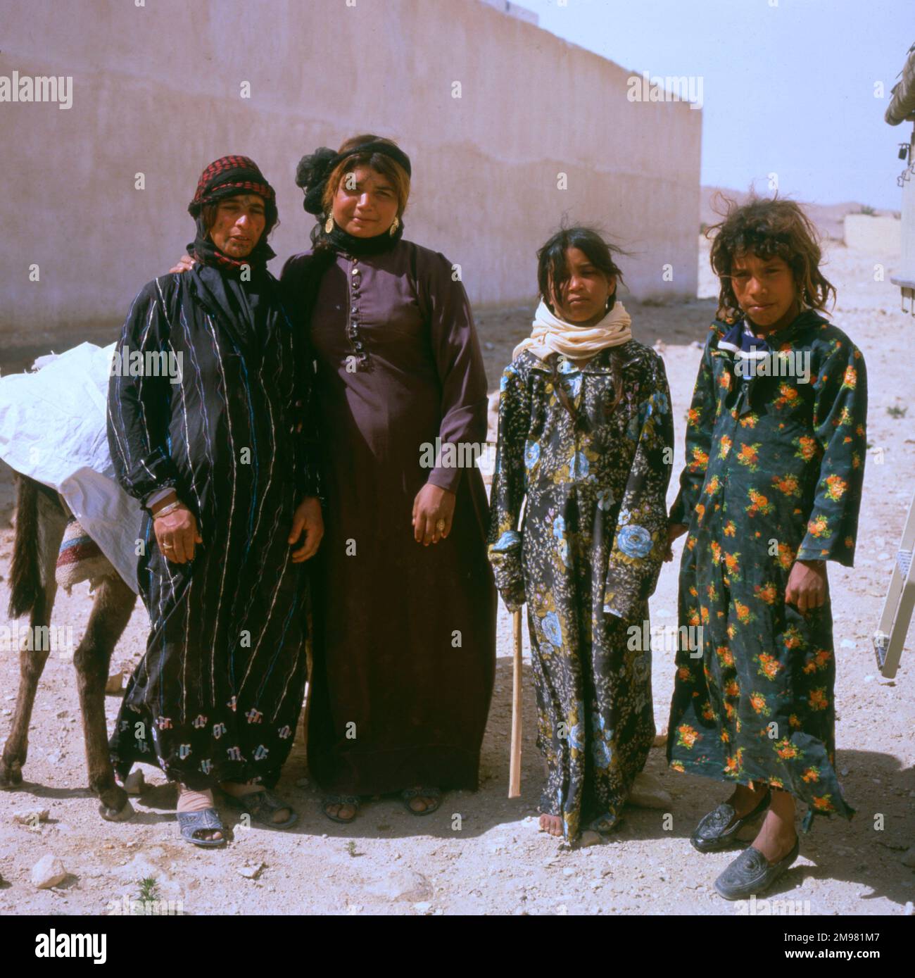 Syrian Bedouin Women
