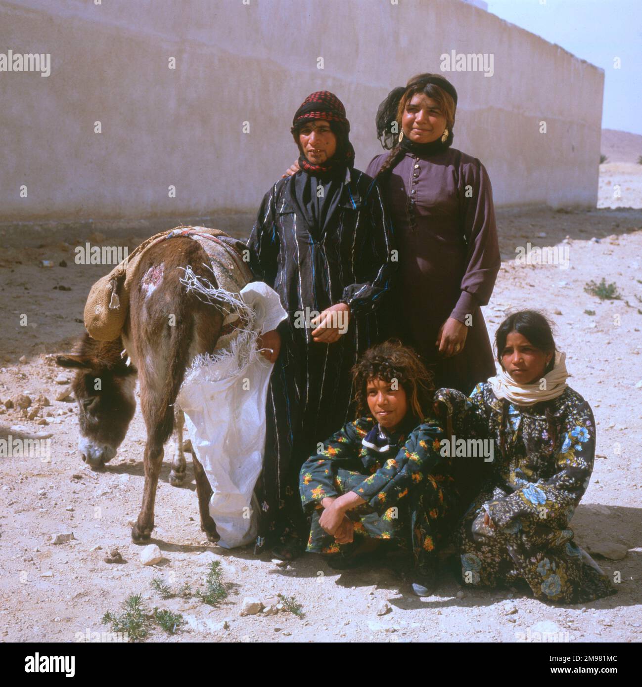 Palmyra, Syria - A Group of Bedouin Women and a donkey Stock Photo - Alamy