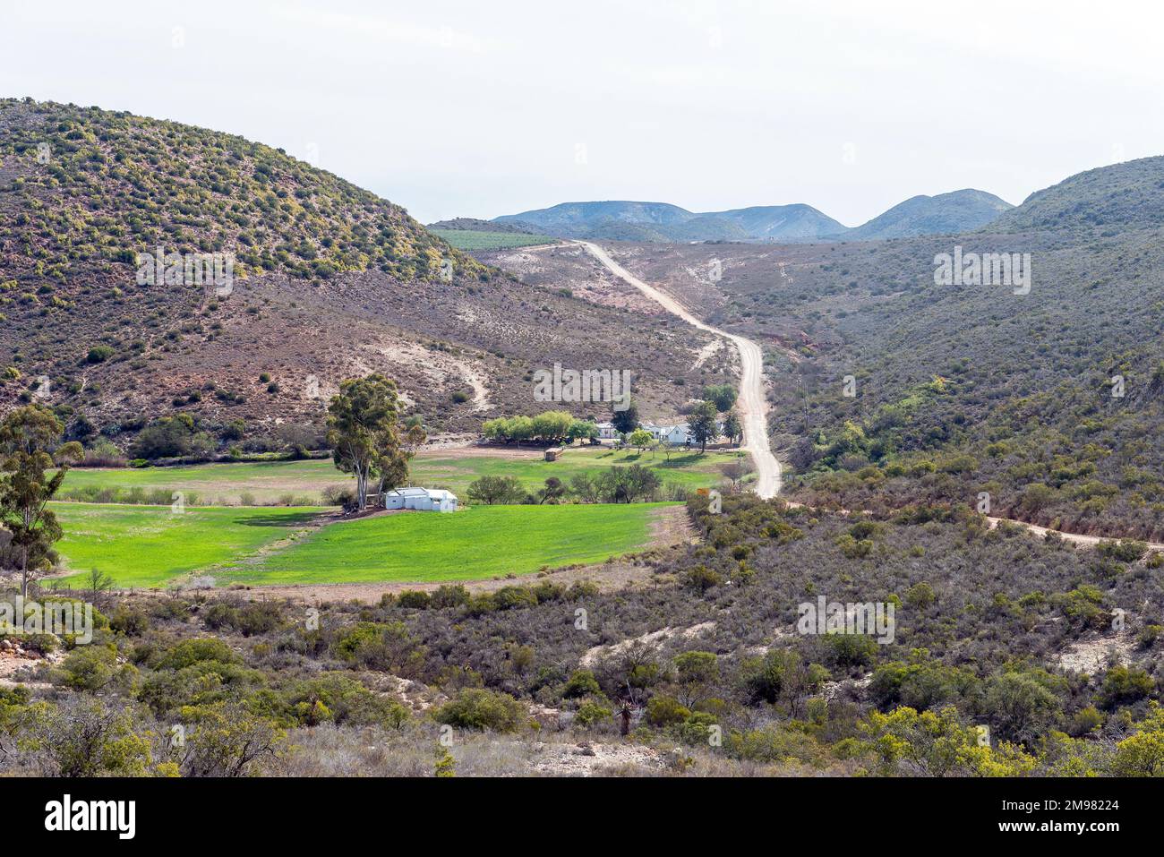 Looking back from the southern start of the Rooiberg Pass between Van ...