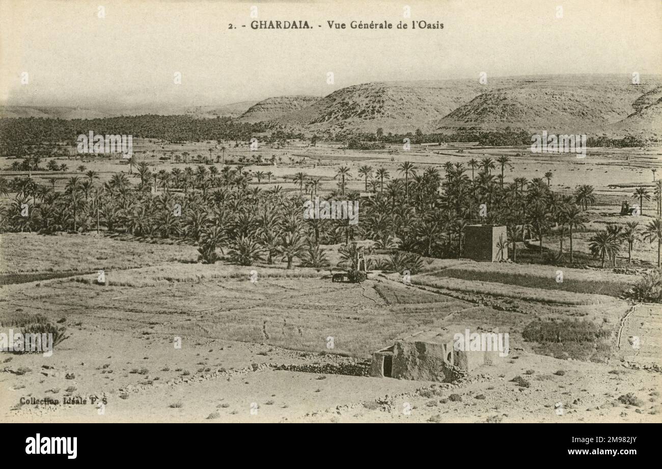 General view of the Oasis in Ghardaia, Algeria Stock Photo - Alamy