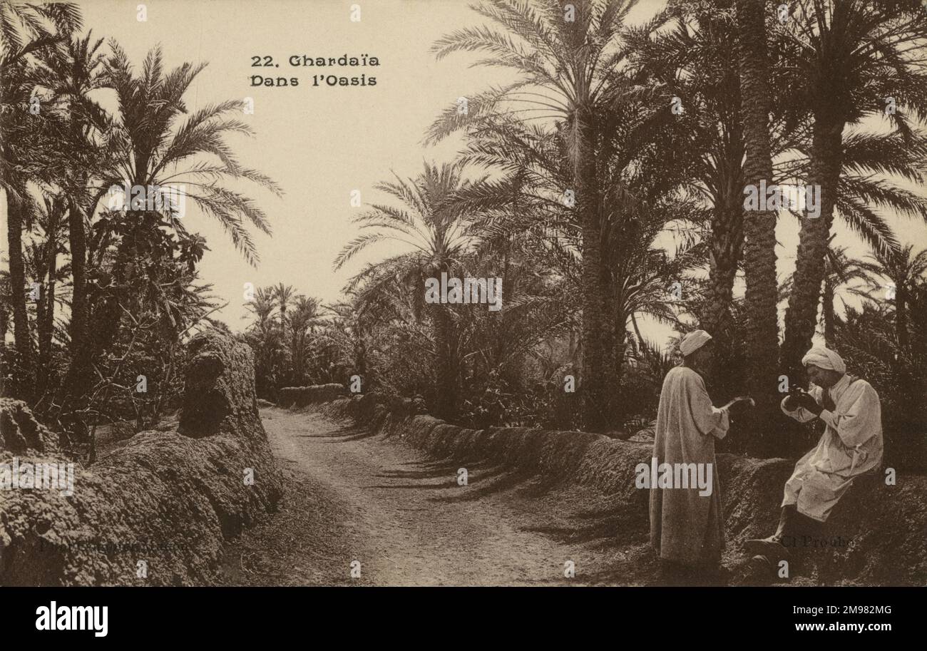 Algeria oasis not sahara hi-res stock photography and images - Alamy