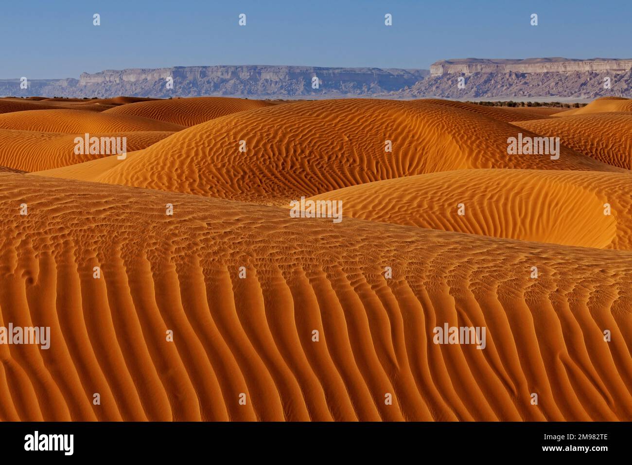 Desert landscape with ripped sand dunes with mountain backdrop, Saudi ...