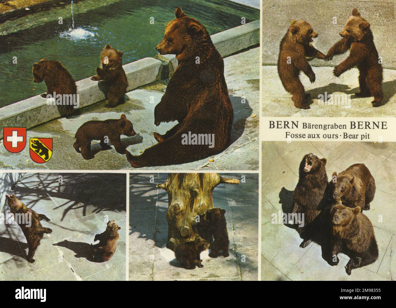 Bear Pit - Bern, Switzerland Stock Photo - Alamy